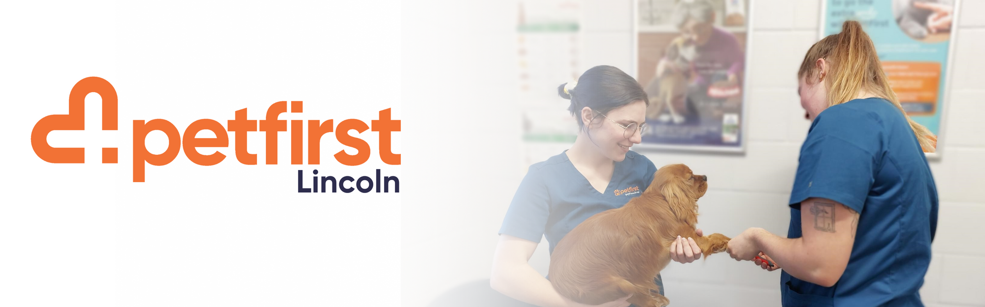 Petfirst Lincoln – Petfirst Veterinary
