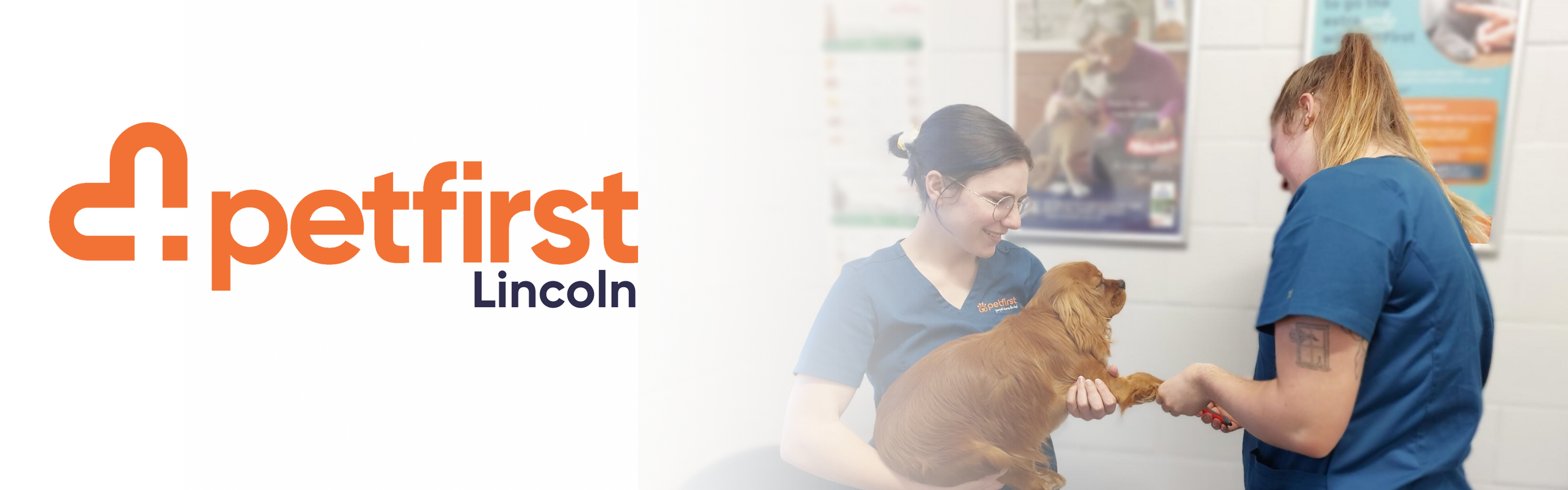 Petfirst Lincoln – Petfirst Veterinary