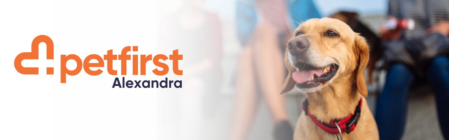Petfirst Alexandra – Petfirst Veterinary