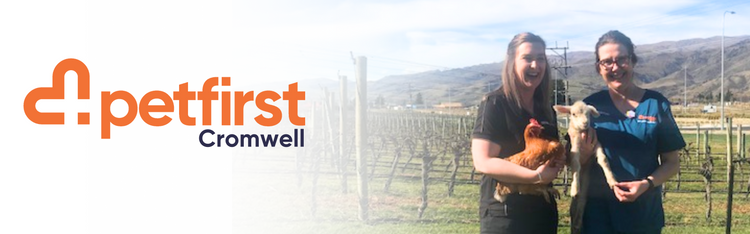 Petfirst Cromwell – Petfirst Veterinary