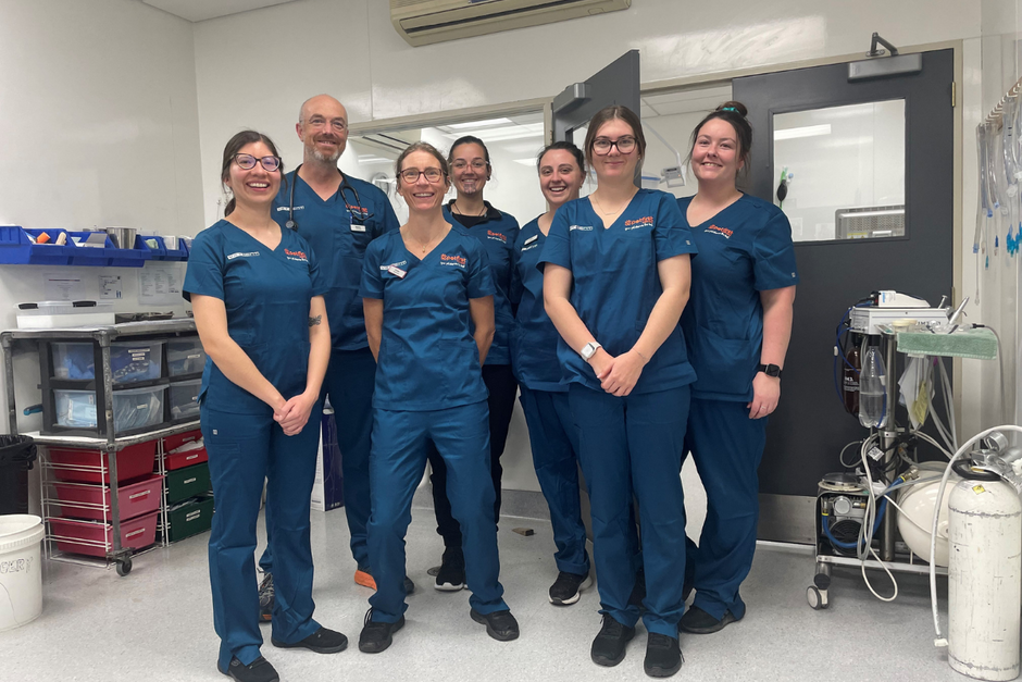 Work With Us – Petfirst Veterinary