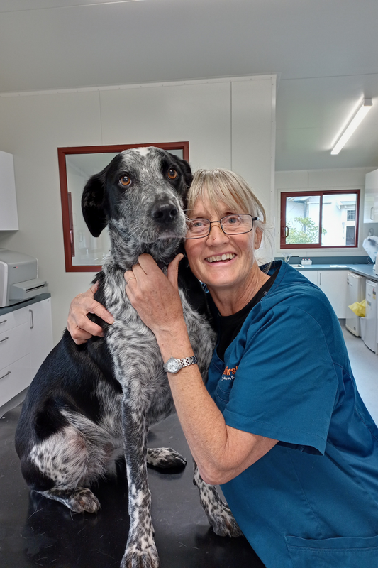 Petfirst Veterinary