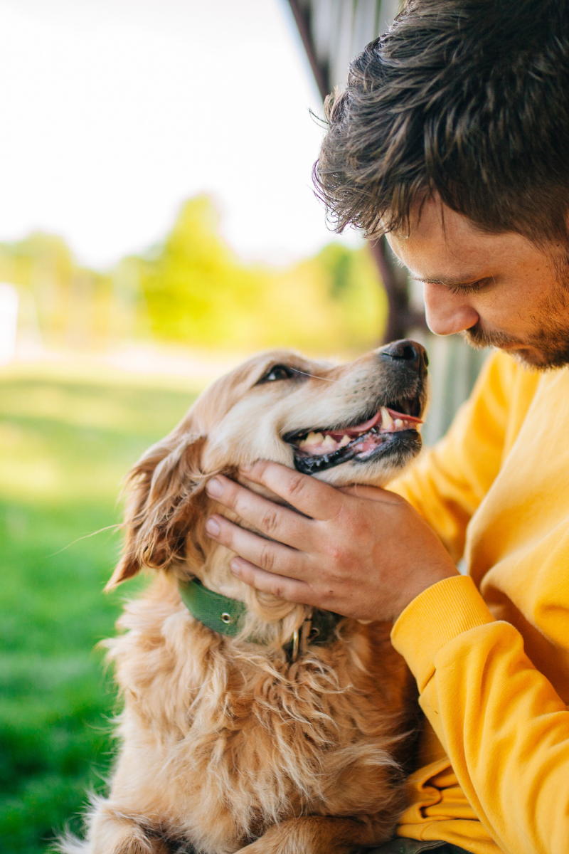 About Us – Petfirst Veterinary