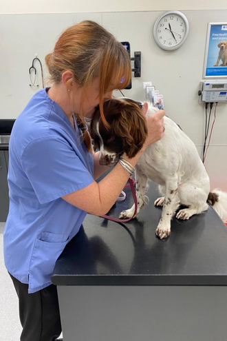 Petfirst Veterinary