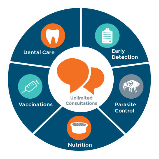 Petfirst Wellness – Petfirst Veterinary