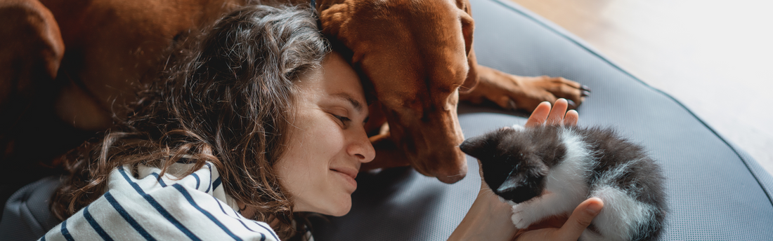 Petfirst Wellness – Petfirst Veterinary