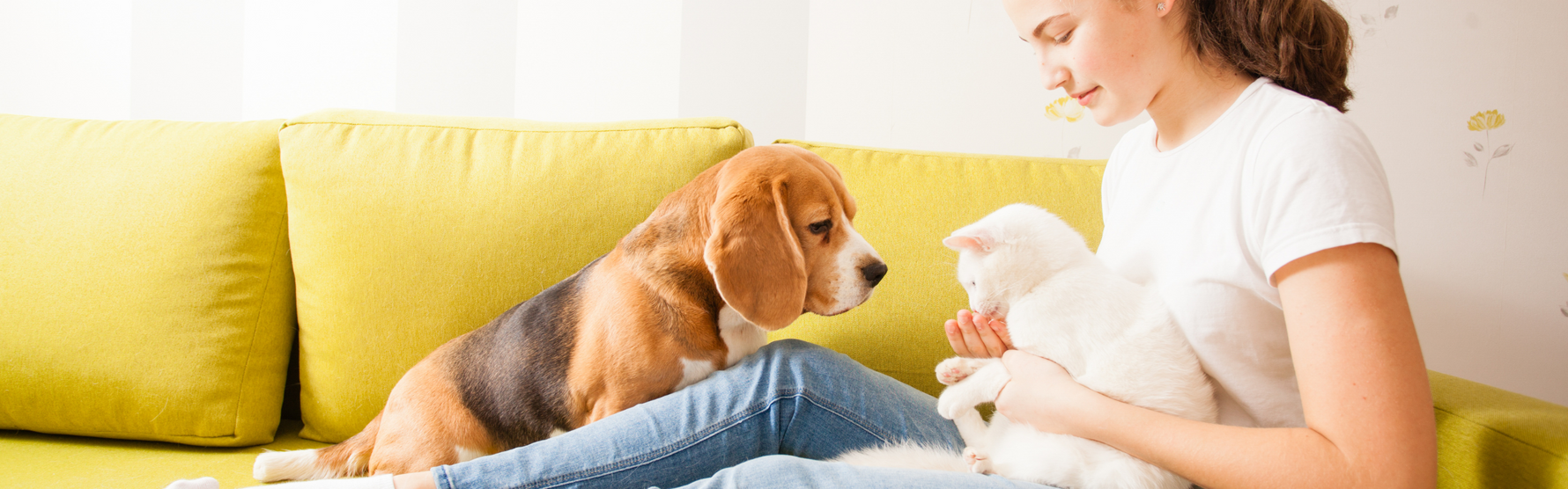 Get in Touch – Petfirst Veterinary