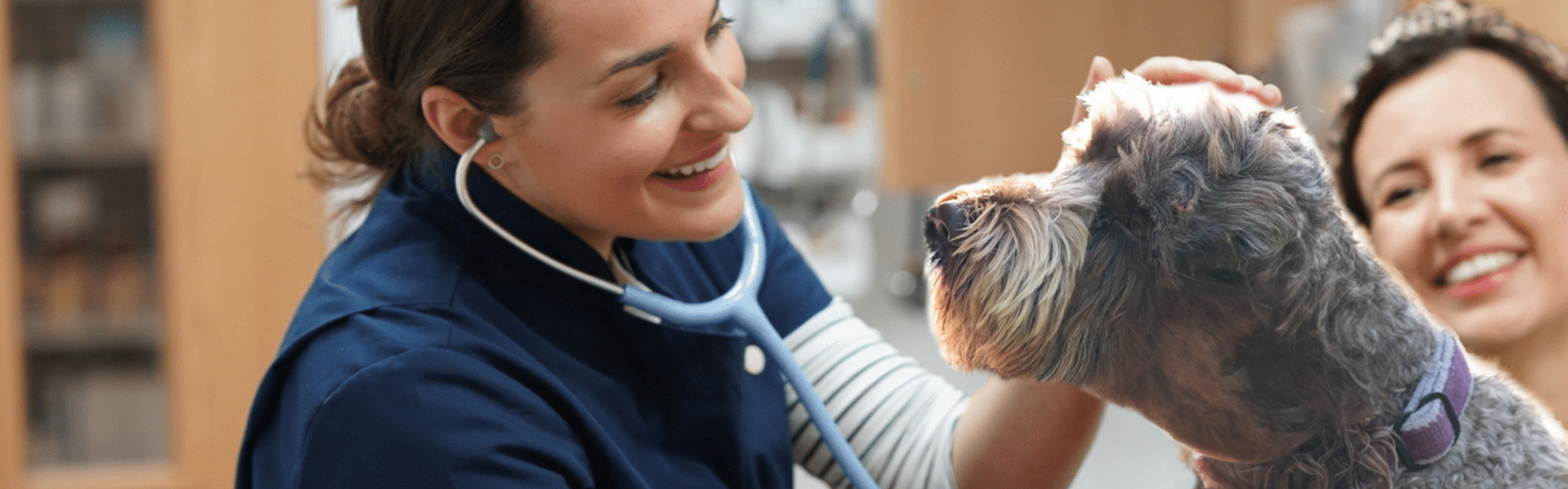 Our Clinics – Petfirst Veterinary